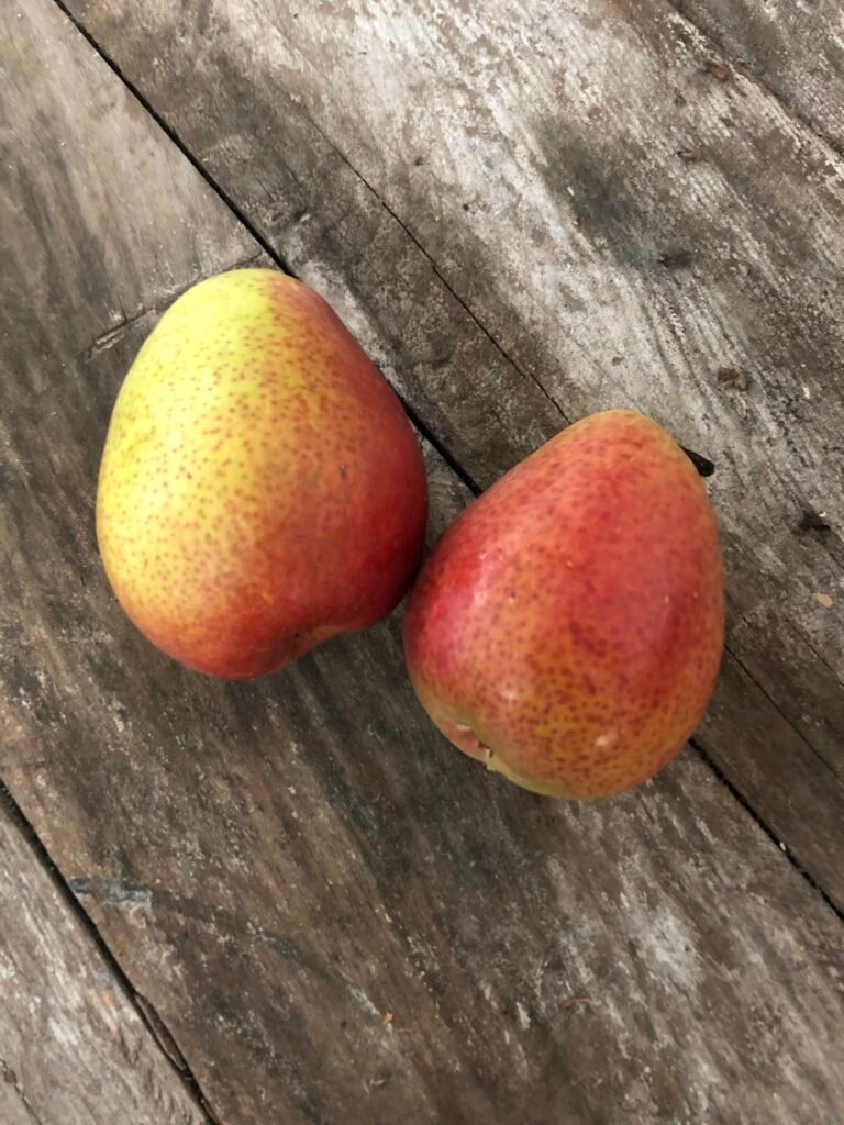 Blush Pear Each – Barnhill Boxes