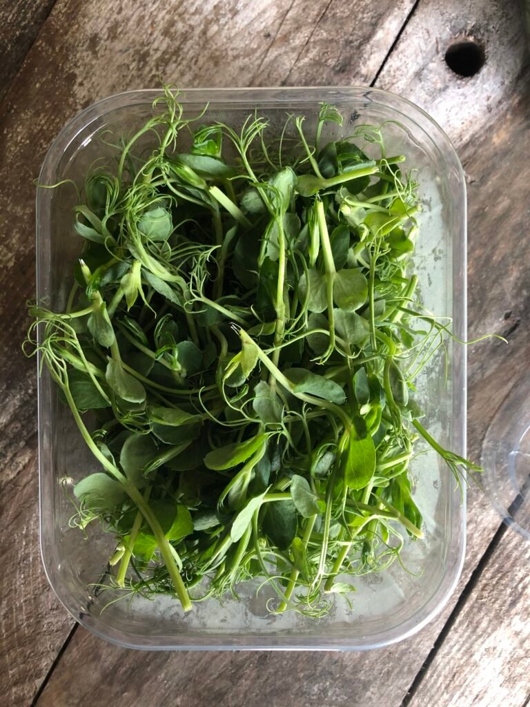 Pea Shoots 100g – Barnhill Boxes